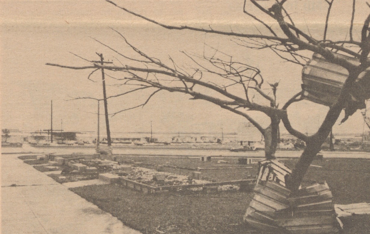 #FlashbackFriday: 1976—Typhoon Pamela Strikes Guam – The Exchange Post